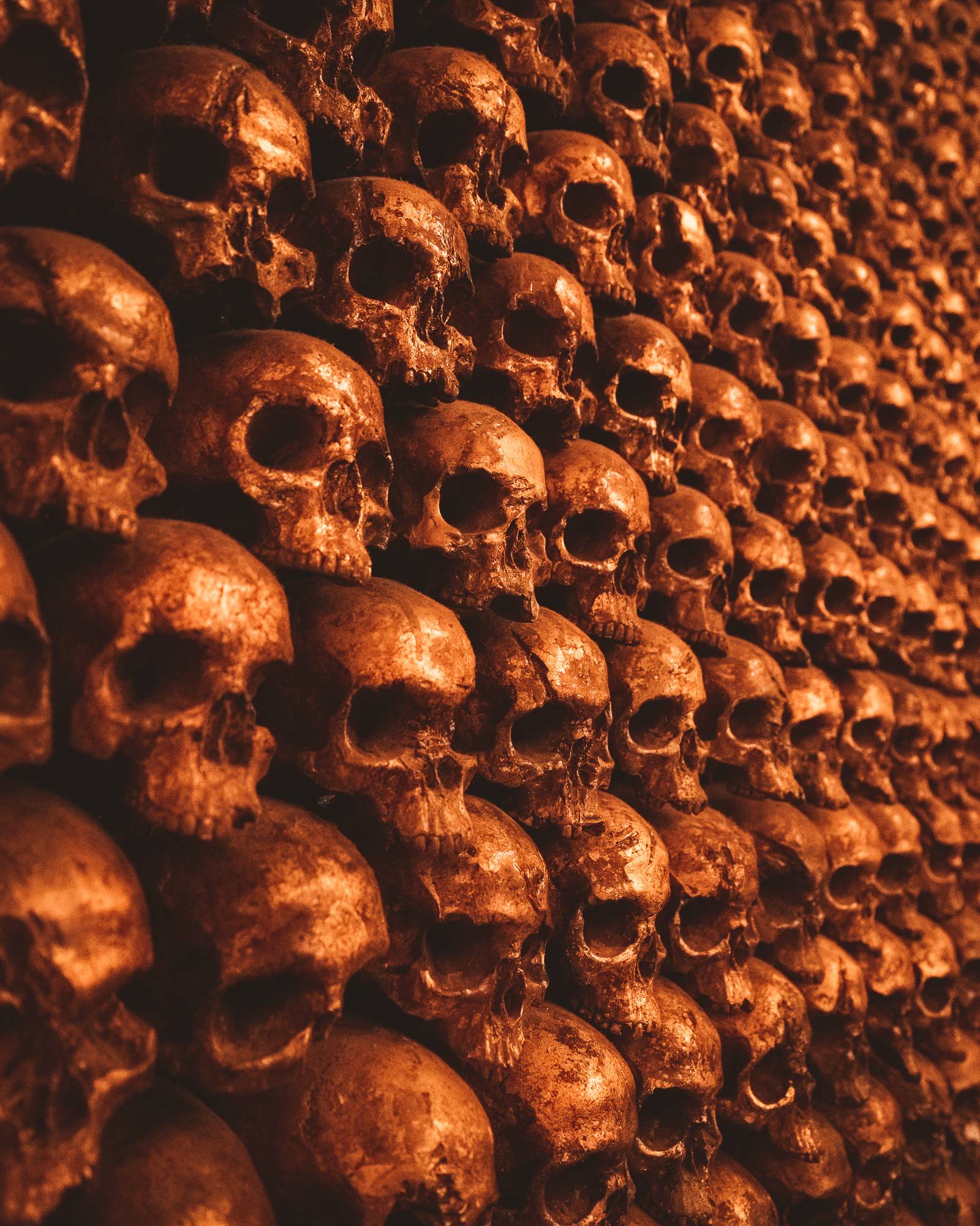 Noble Experiment × CH Projects